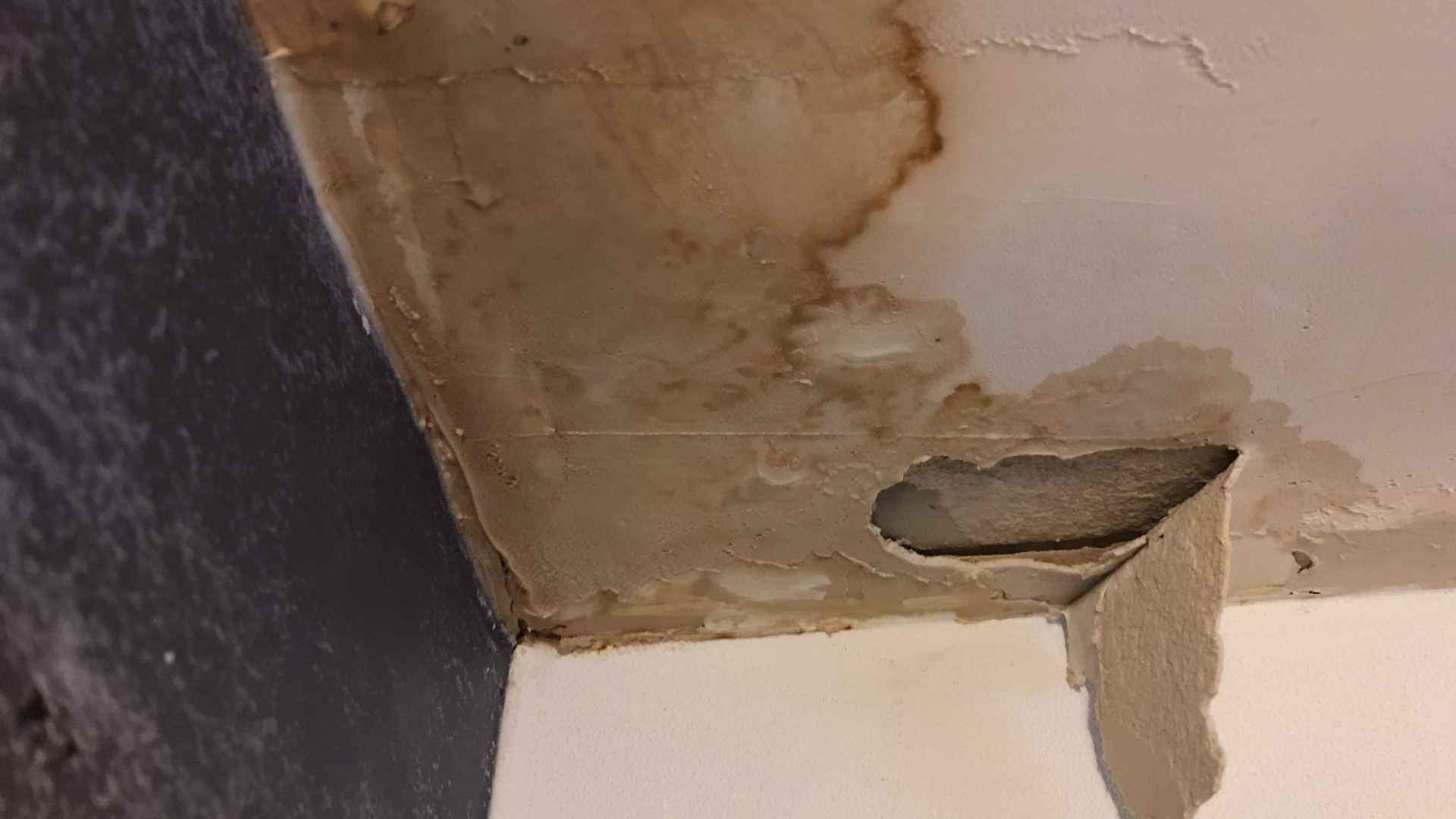How to Repair a Sagging Ceiling - Handyman Palm Bay FL